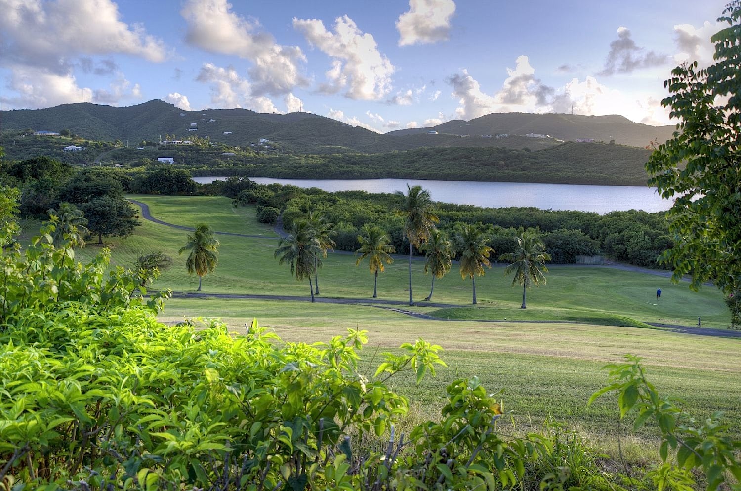 Golfing at The Buccaneer in St. Croix - Traveloni Vacations